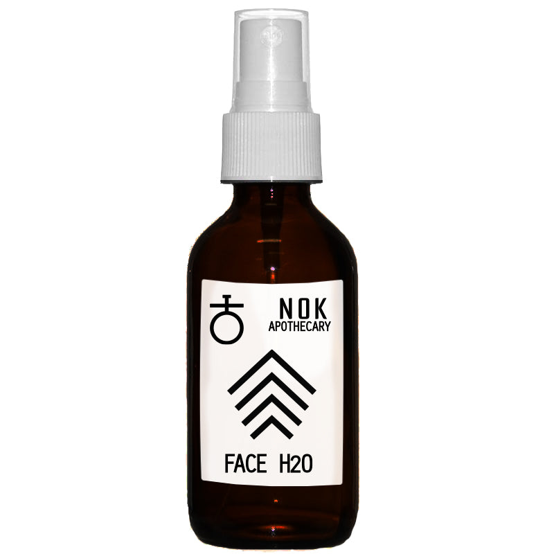 FACE H20 | Aloe + Rosewater Face Mist – The Nok Apothecary